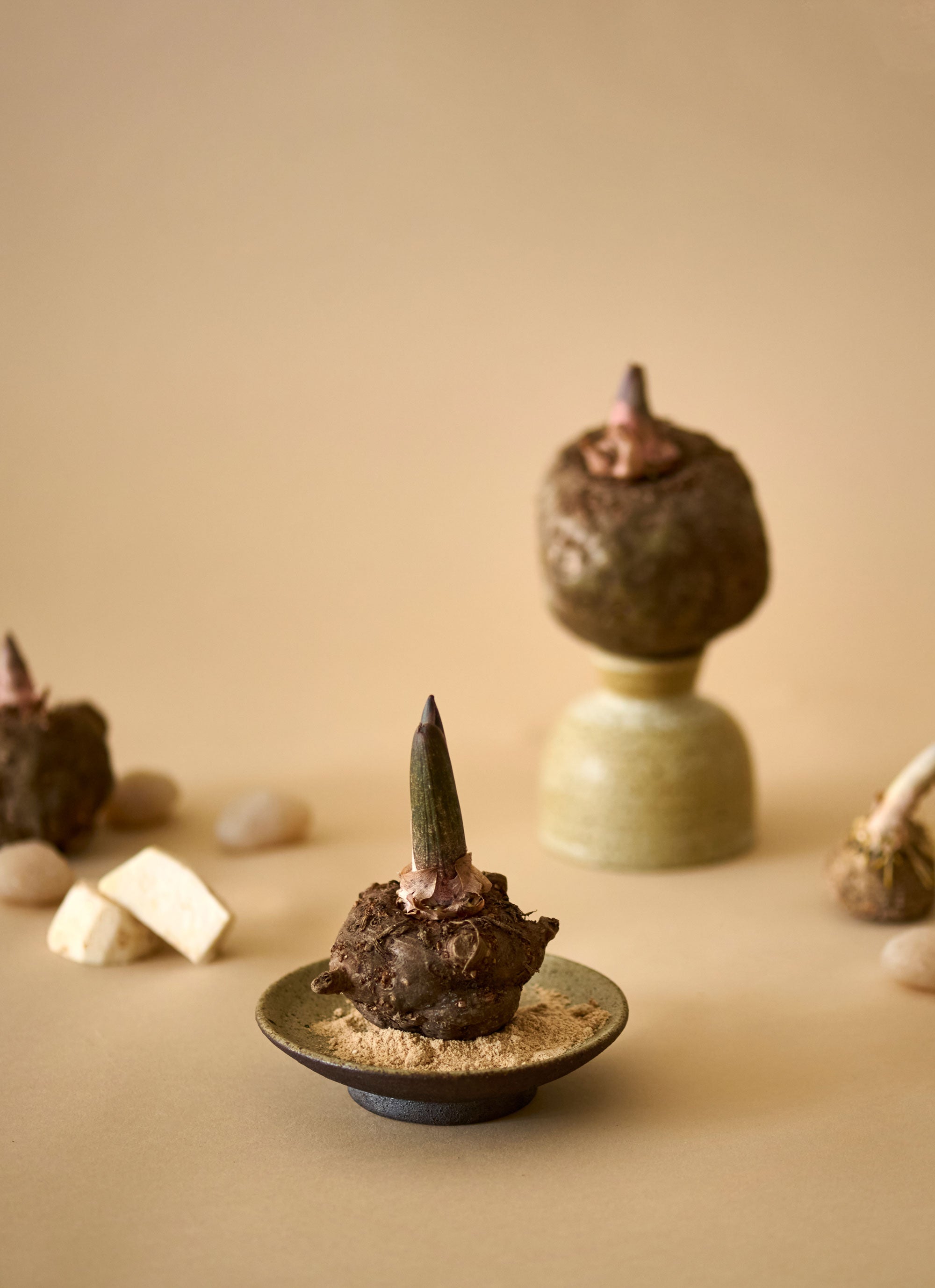 What is Konjac | Fiber, History and Culture | MOYU™