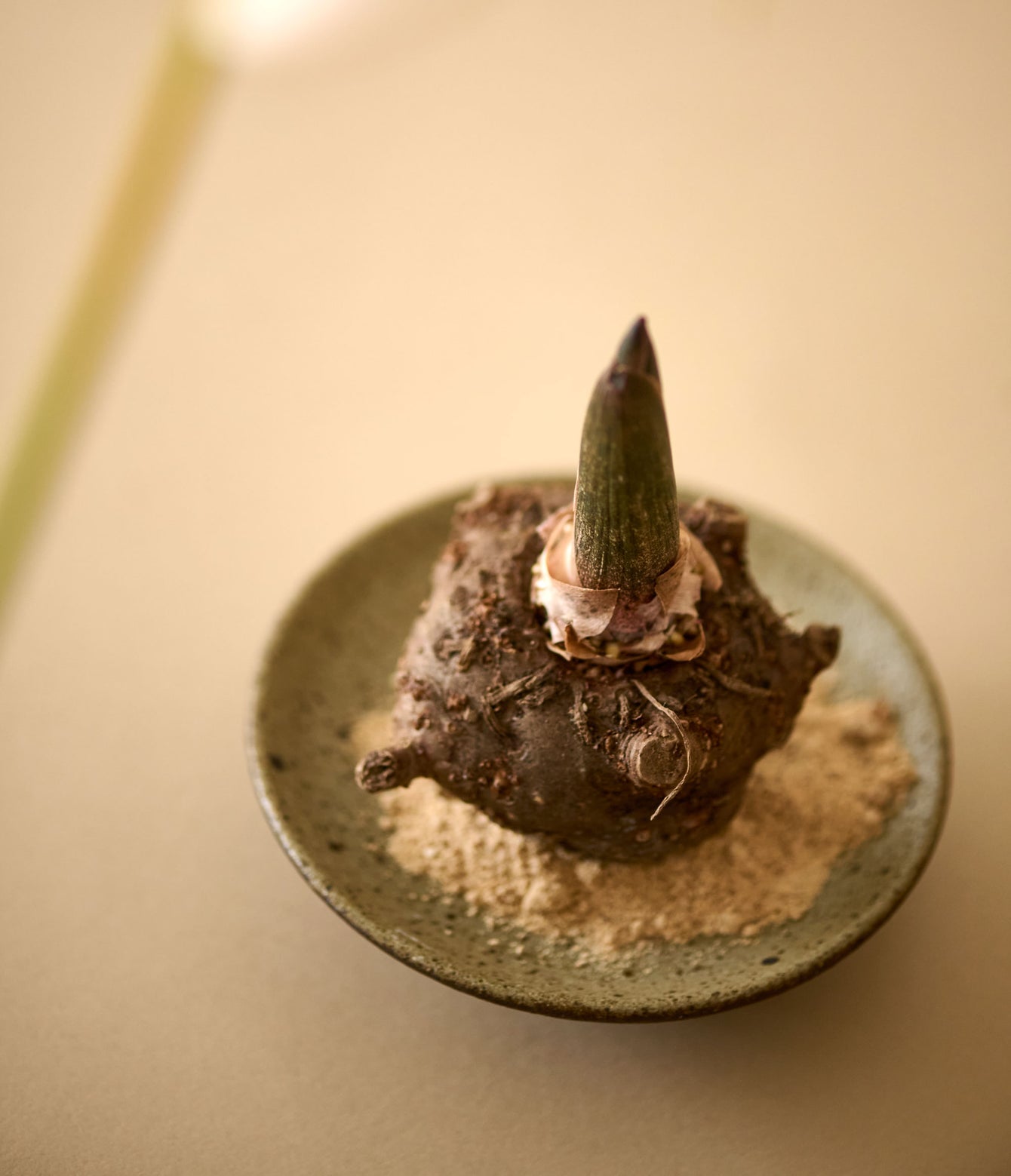 What is Konjac | Fiber, History and Culture | MOYU™